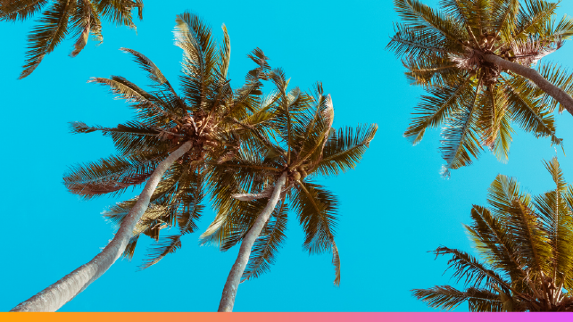 Eyefinity helps optometry practices elevate patient care